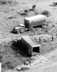 SP Freight Train Wreck