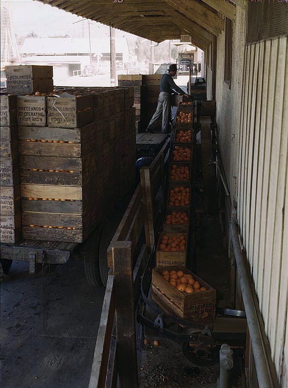 Packing Houses and Other Structures in Southern California